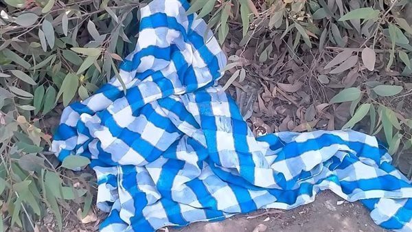 اكتشف خيانة زوجته أثناء ممارسة الجنس وسط زراعات أسيوط وهذه كانت نهايتهم